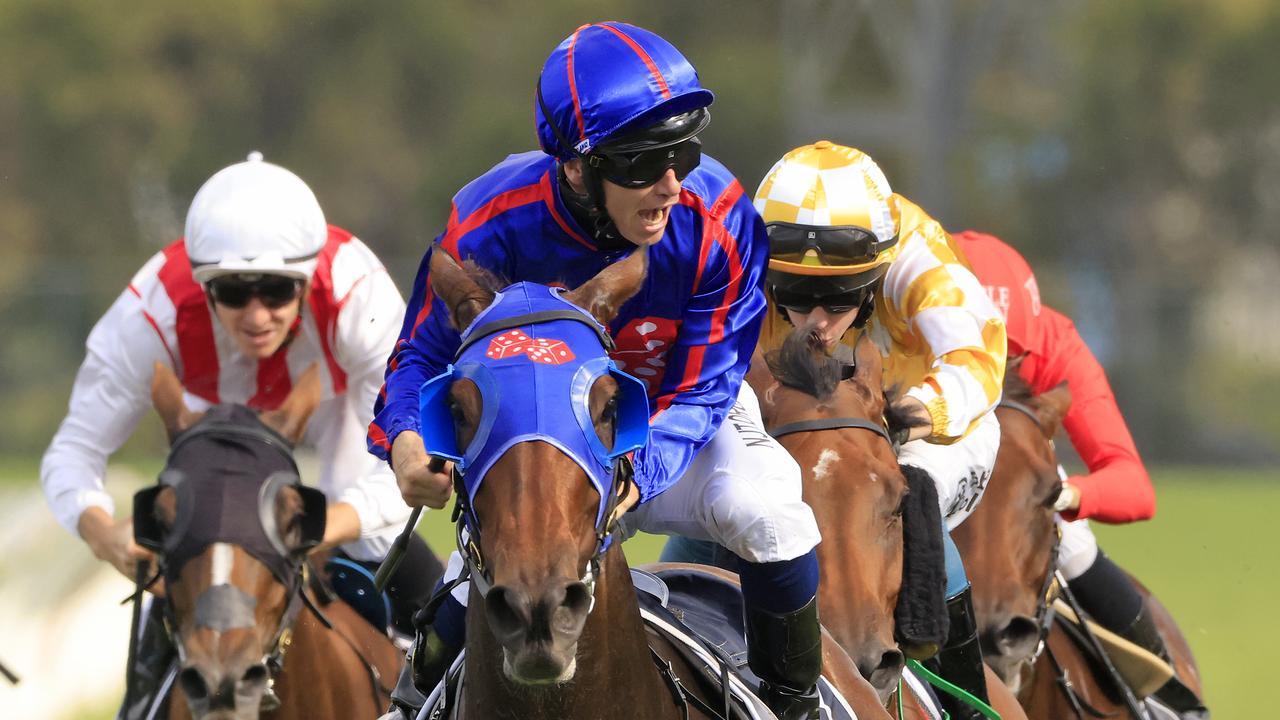 Krone zone: Gollan's mare makes Classic statement - Racenet