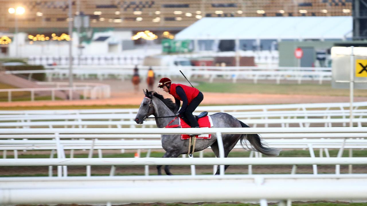 Grey's anatomy: Is this the latest Everest Legend? - Racenet