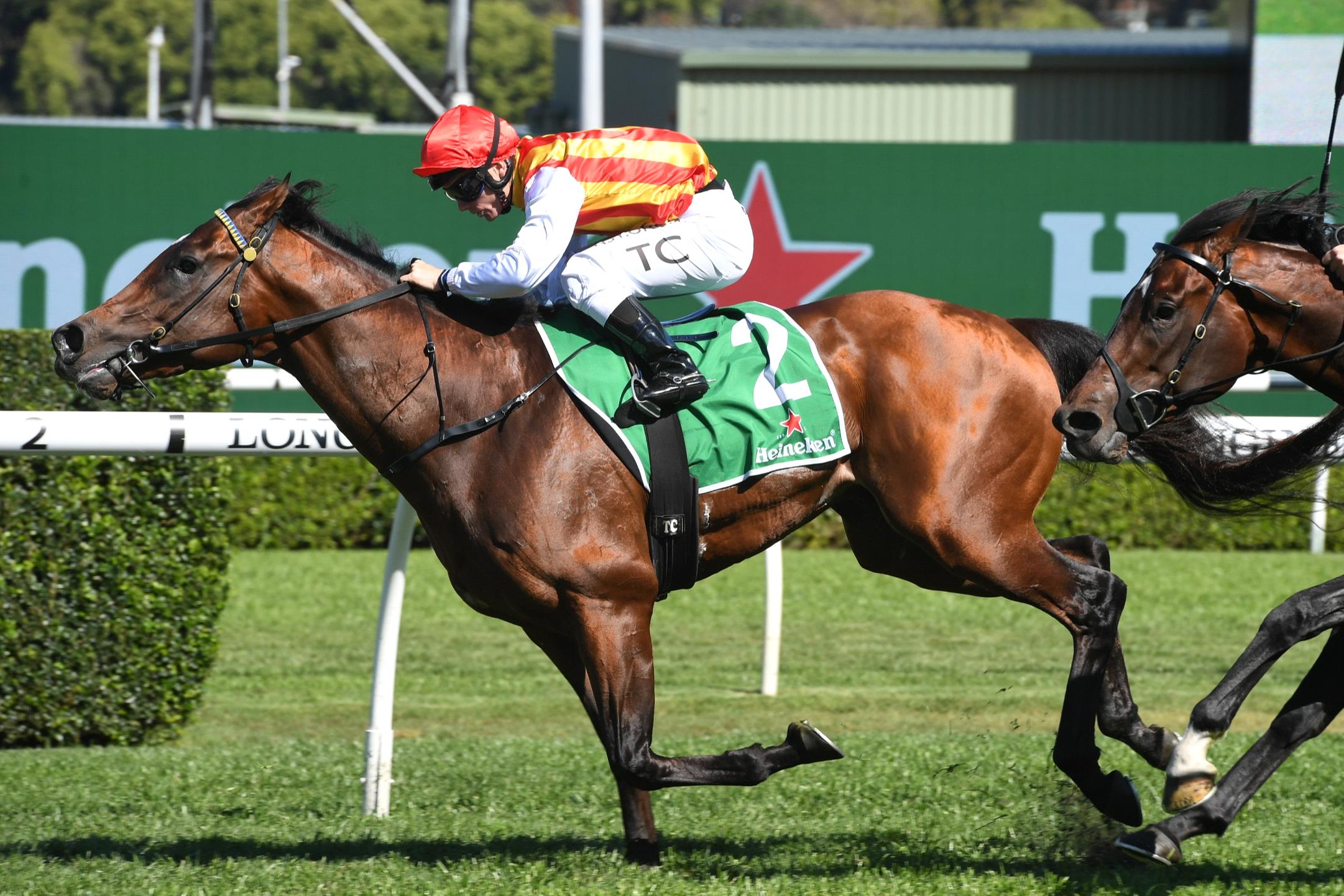 Stan Fox Stakes - Review & Jockeys - Racenet