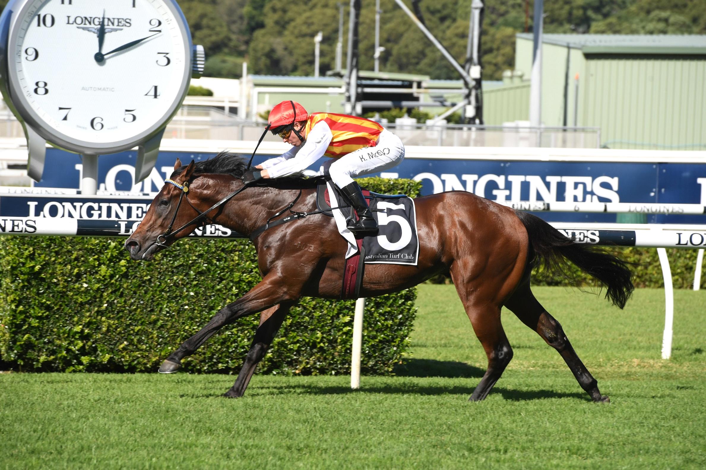 San Domenico favourite ready to take next step - Racenet