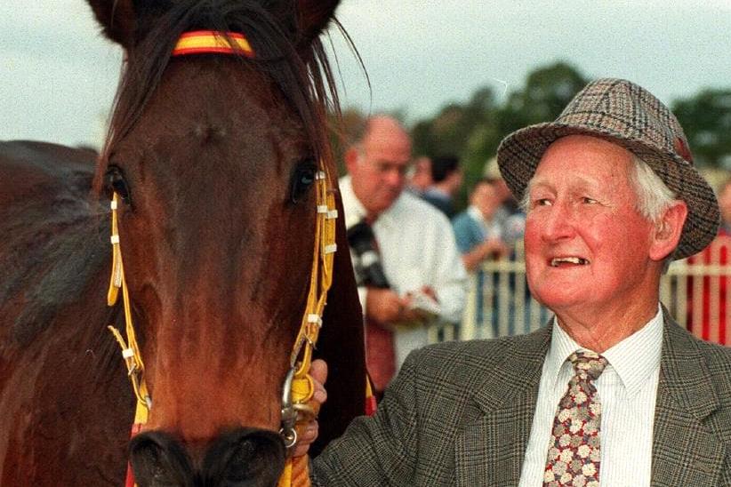 Champion Queensland galloper dies at 28 - Racenet