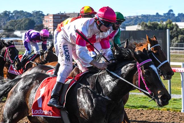 Kyle Maskiell a winner on his first day back at Devonport - Racenet