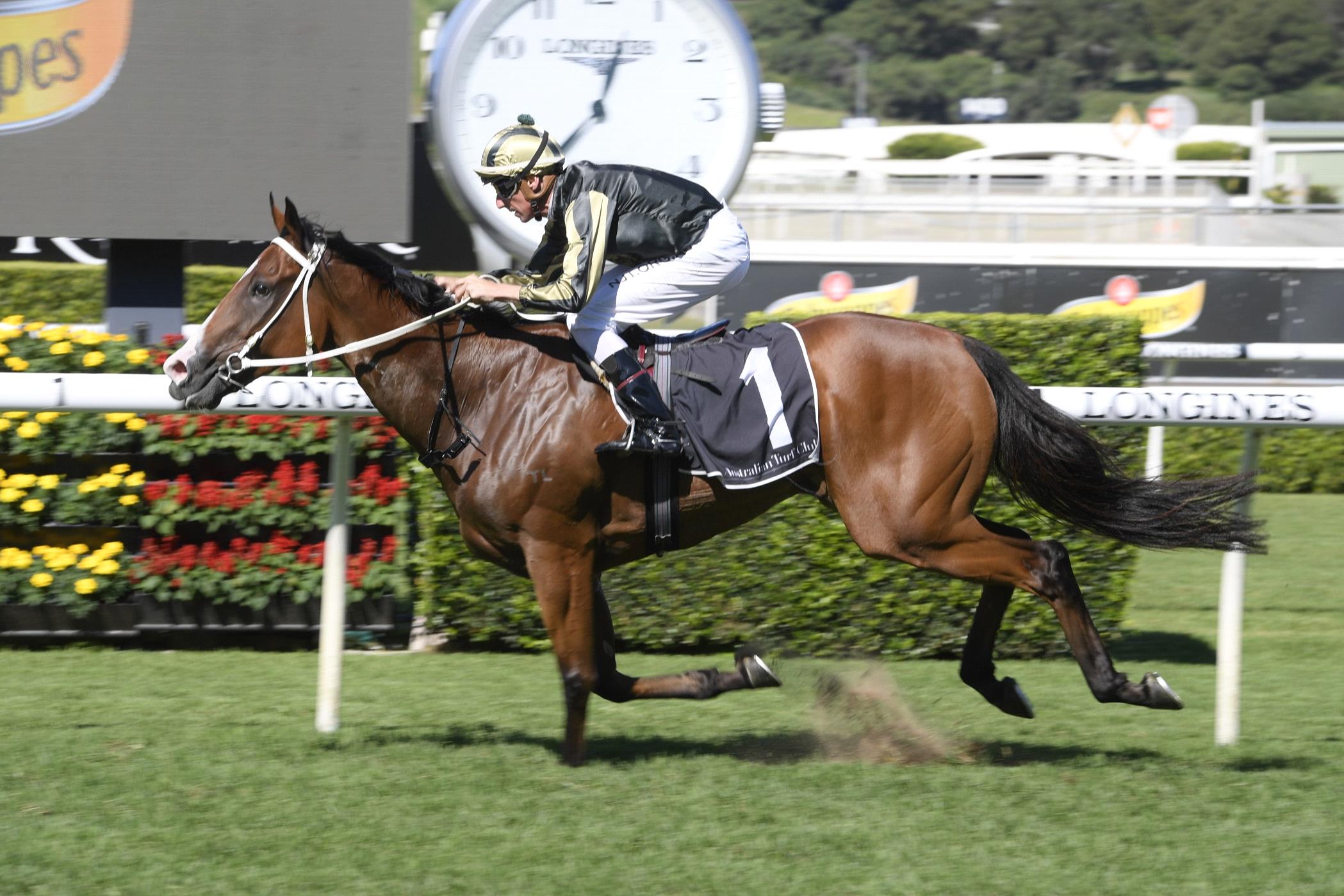 The Kosciuszko favourite headed to the paddock - Racenet