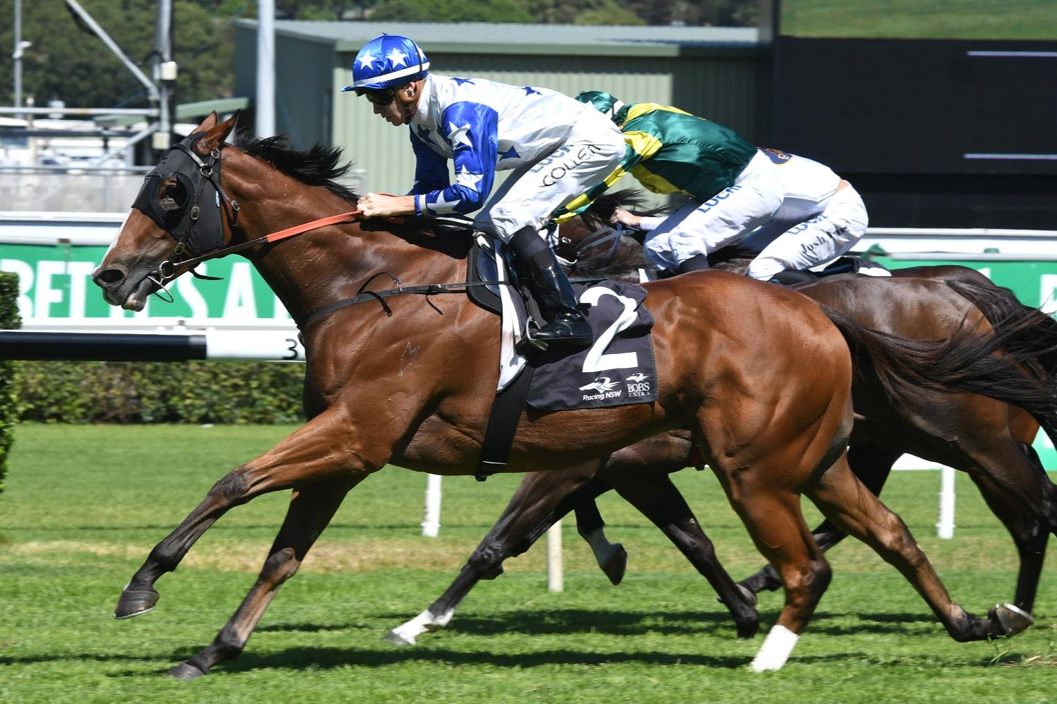 Apprentice gets Crack at Stradbroke with first Group I ride - Racenet