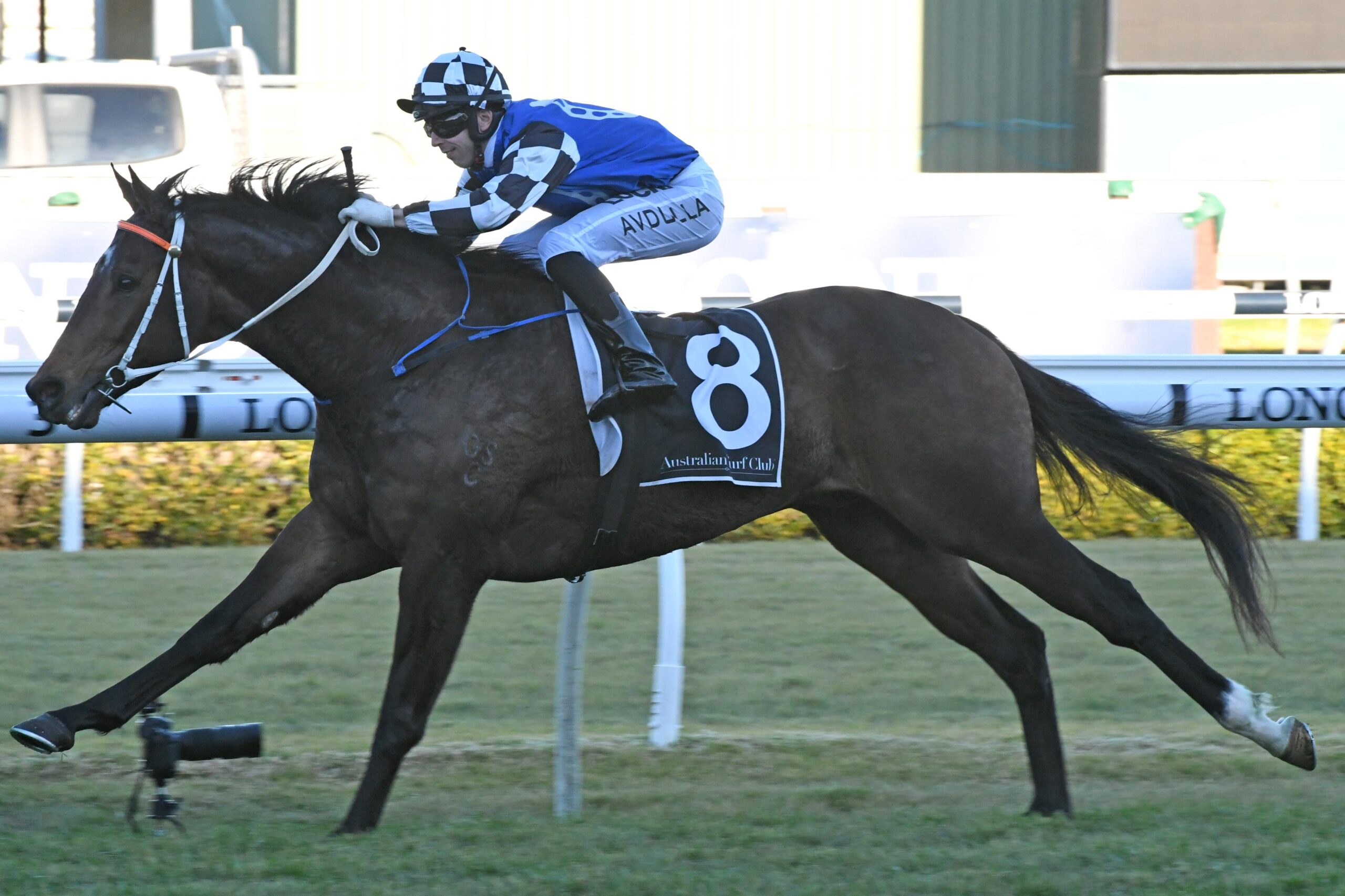 Takeover Target hope can boost Stradbroke claims - Racenet
