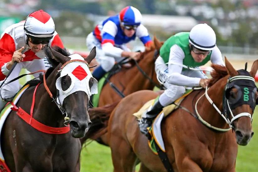 Tasmanian racing restart still up in the air - Racenet