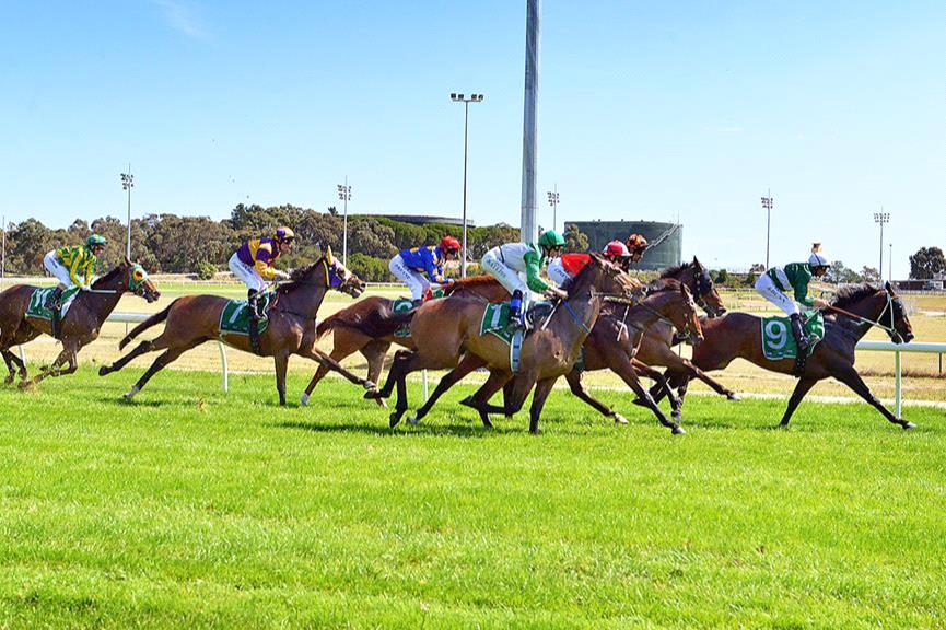 Pro punter The Trackwalker's tips, analysis for Cranbourne