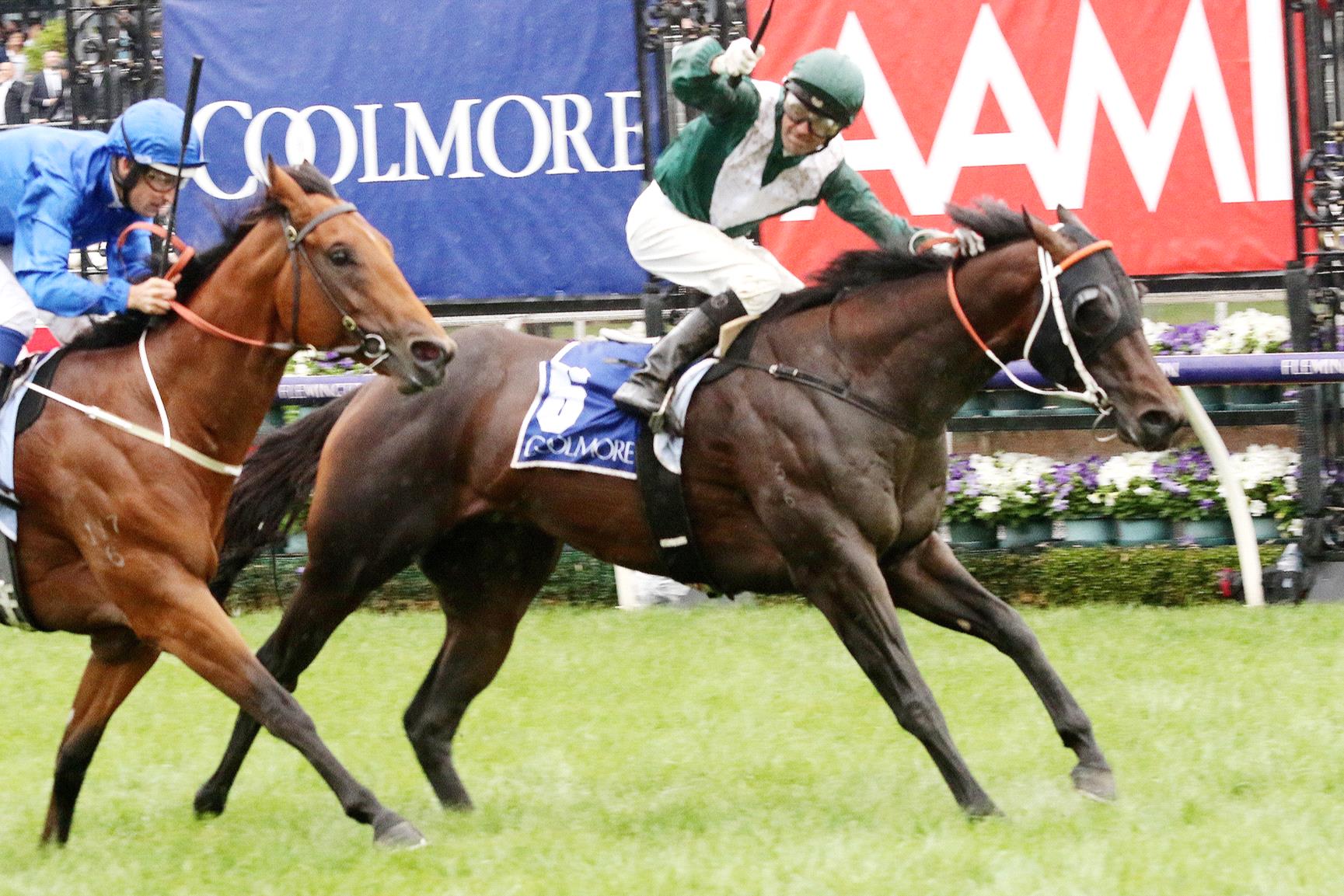 Can Exceedance win the Newmarket Handicap first-up? - Racenet