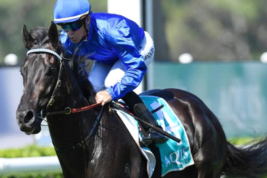 Kementari has the 'eye of the tiger' ahead of probable autumn return ...