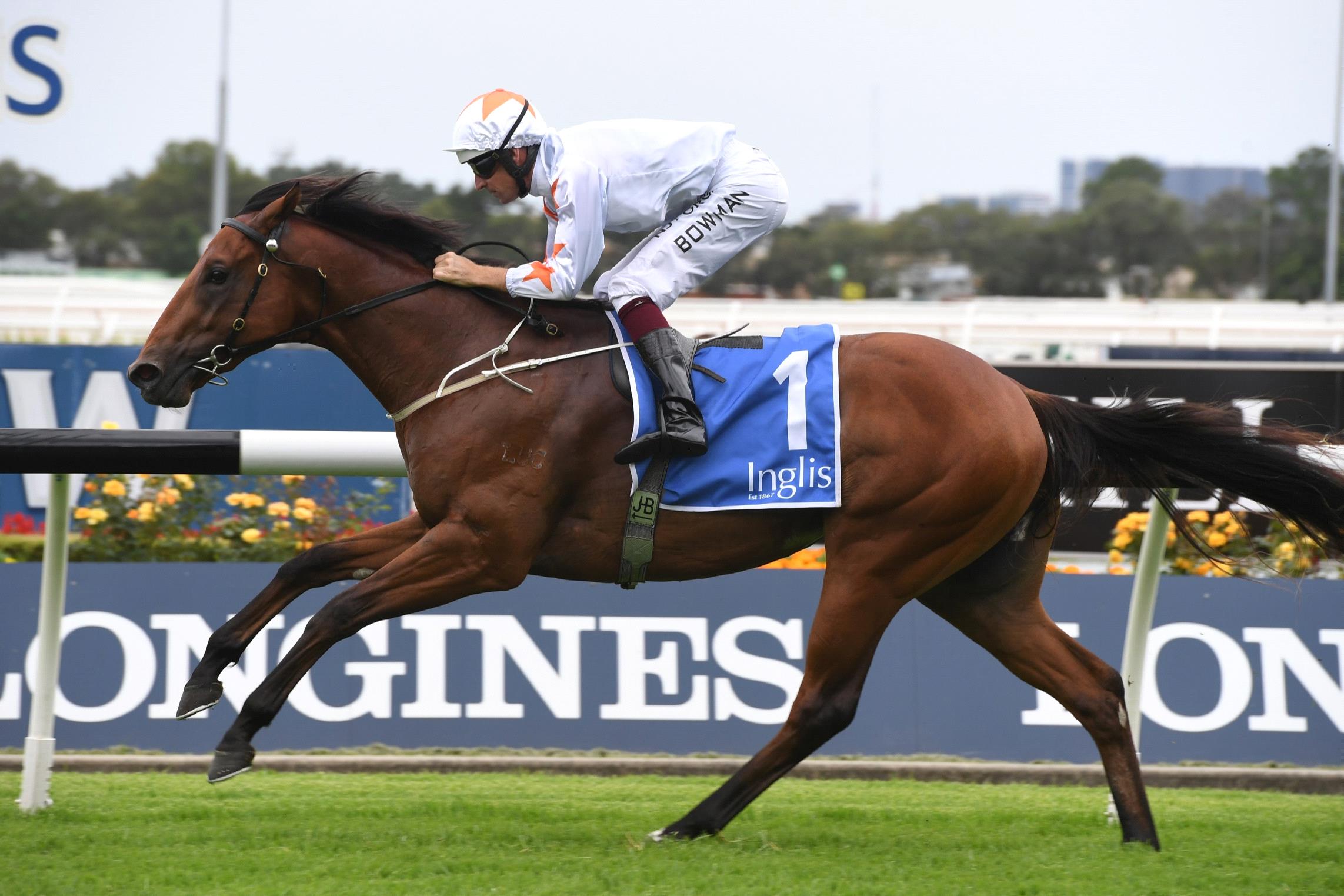 Cellsabeel goes down as the Slipper fits Farnan - Racenet