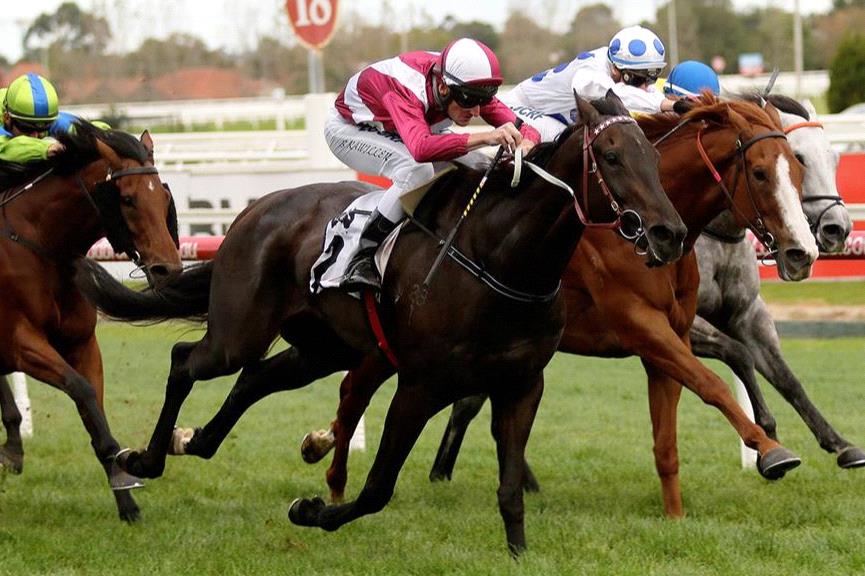 25 entered for 2020 Perth Cup - Racenet