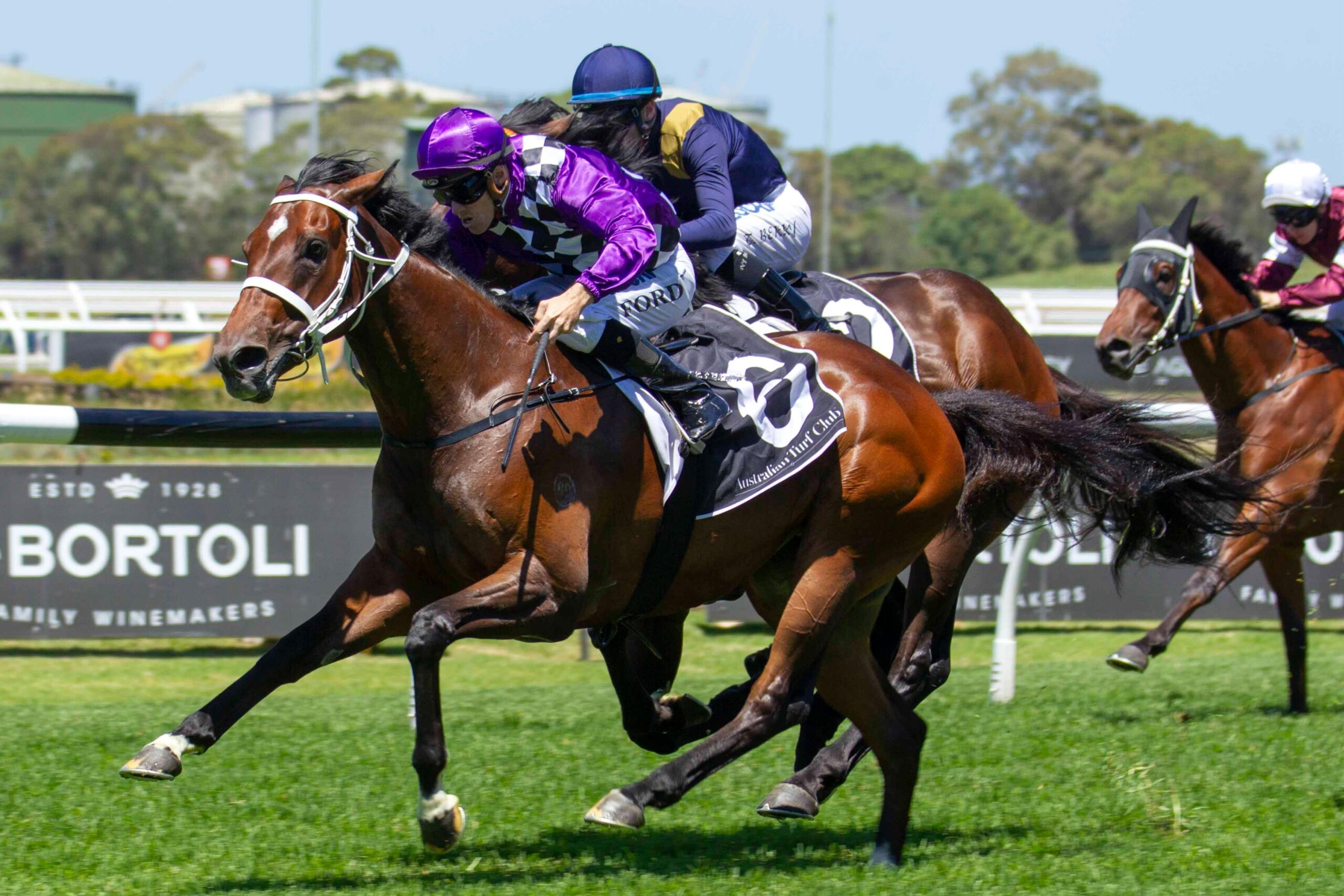 Top bets from Richard Callander for Kensington Wednesday - Racenet