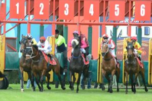 Wyong Racecourse - Form Guide, Track Map, Tips & Results