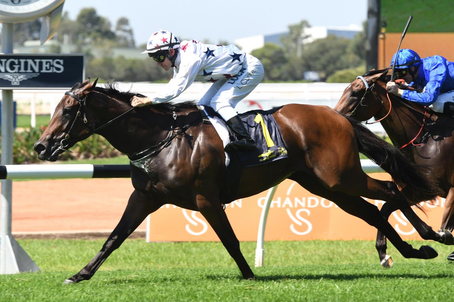 Sunlight returns a winner at Randwick trials - Racenet