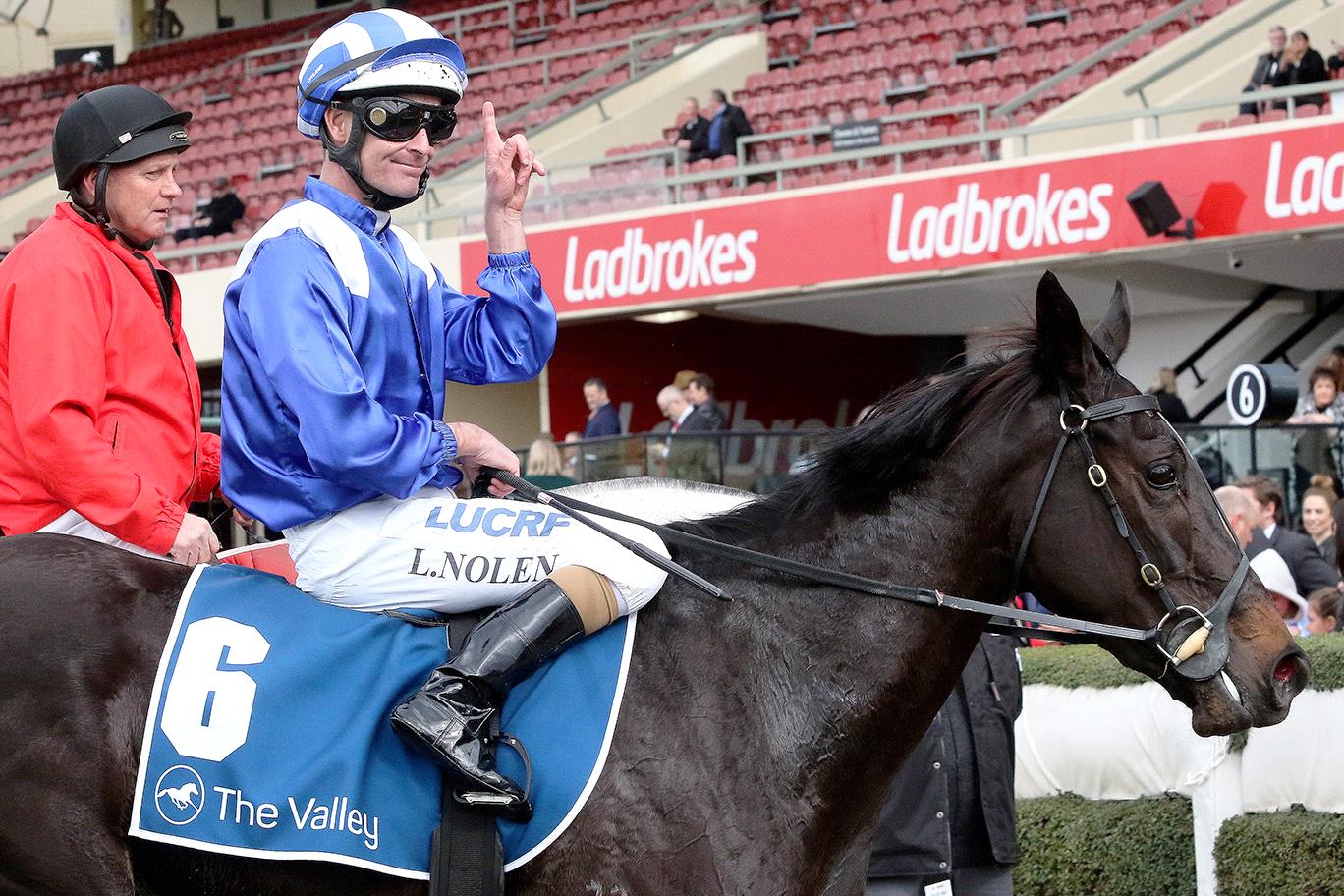 Luke Nolen to keep the kilos off for this spring prospect - Racenet