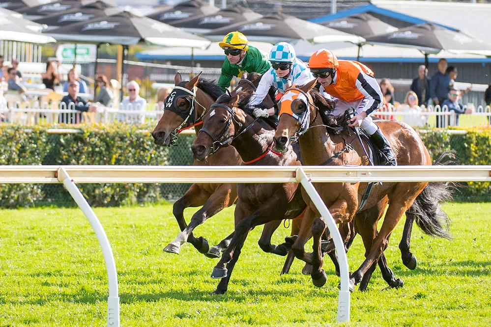 Top bets from Aaron Mills for Belmont Saturday - Racenet