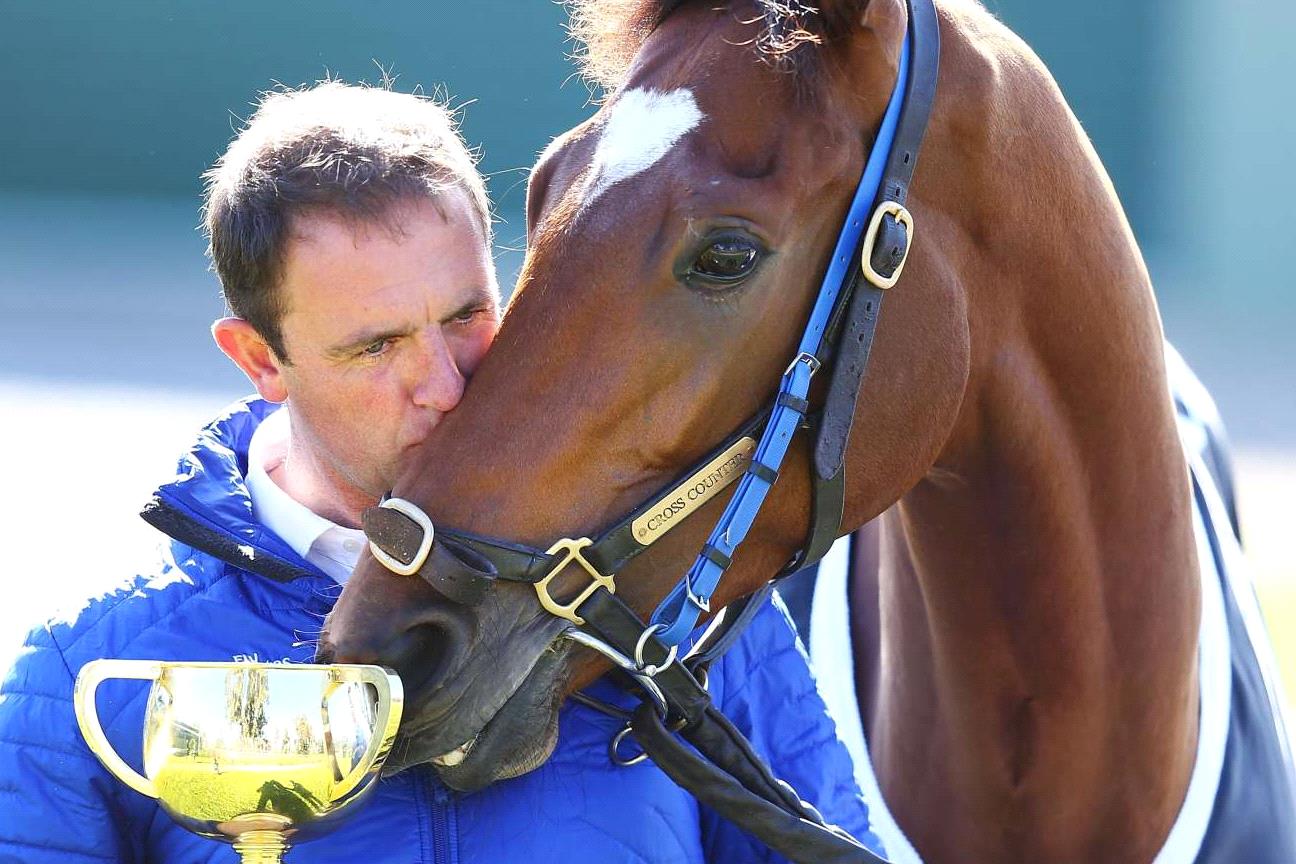 Cross Counter set to defend Melbourne Cup crown - Racenet