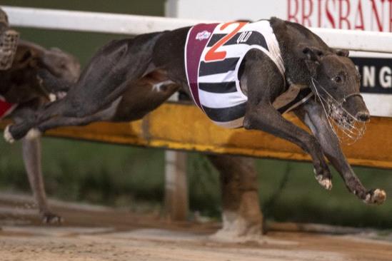 Queensland star aims to go back-to-back in State Of Origin - Racenet