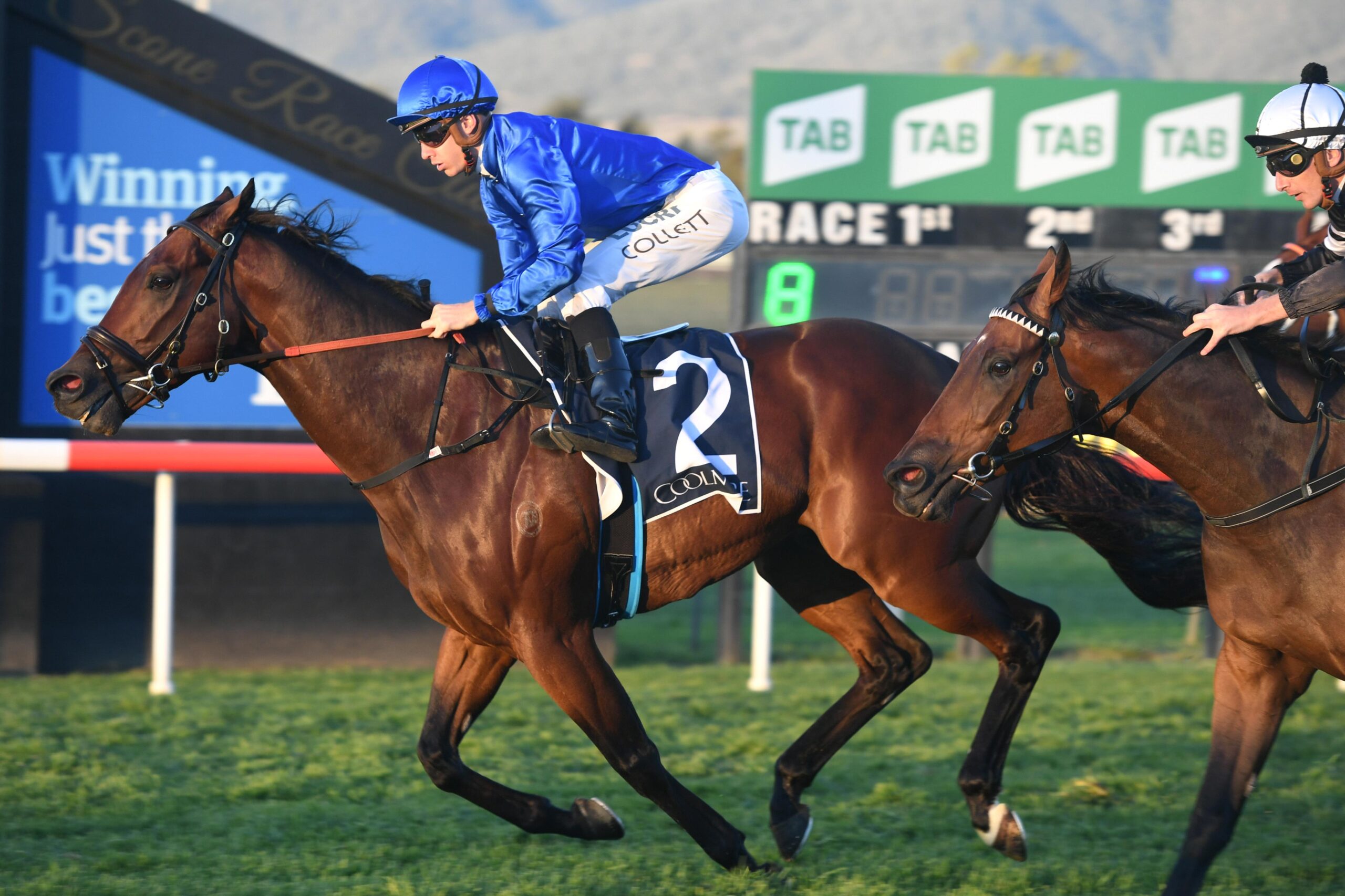 Statement required for Viridine to run in the Stradbroke - Racenet