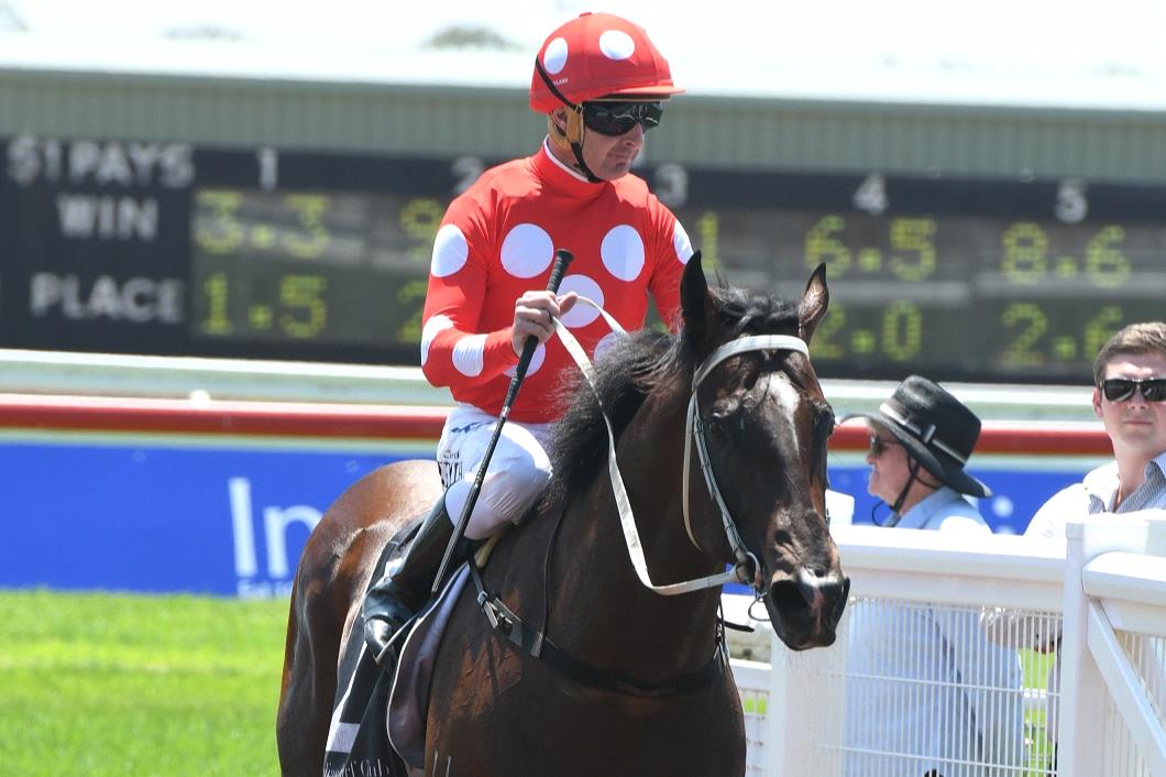 Racing NSW moves on Damion Flower to forfeit The Everest slot - Racenet