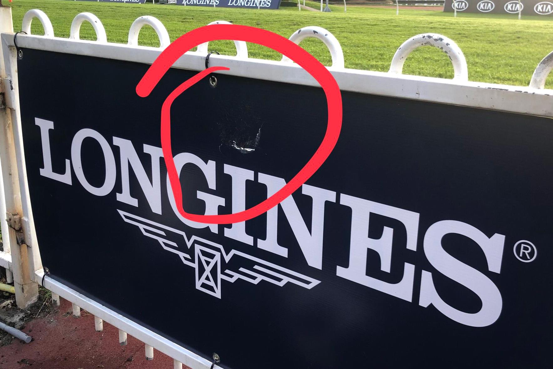 Thursday Wrap – Winx gives the racing world a big scare - Racenet