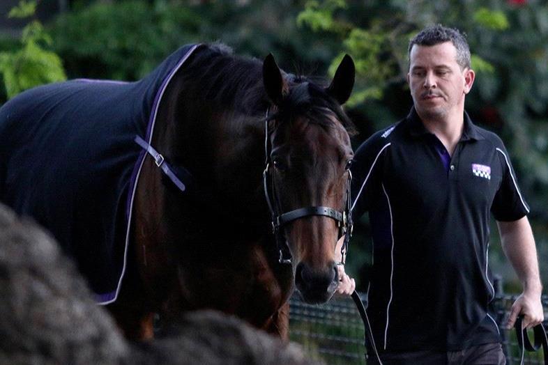 Longevity will be Winx's legacy - Racenet