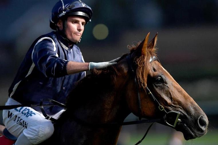 Patrick Payne going for Doncaster Mile double - Racenet