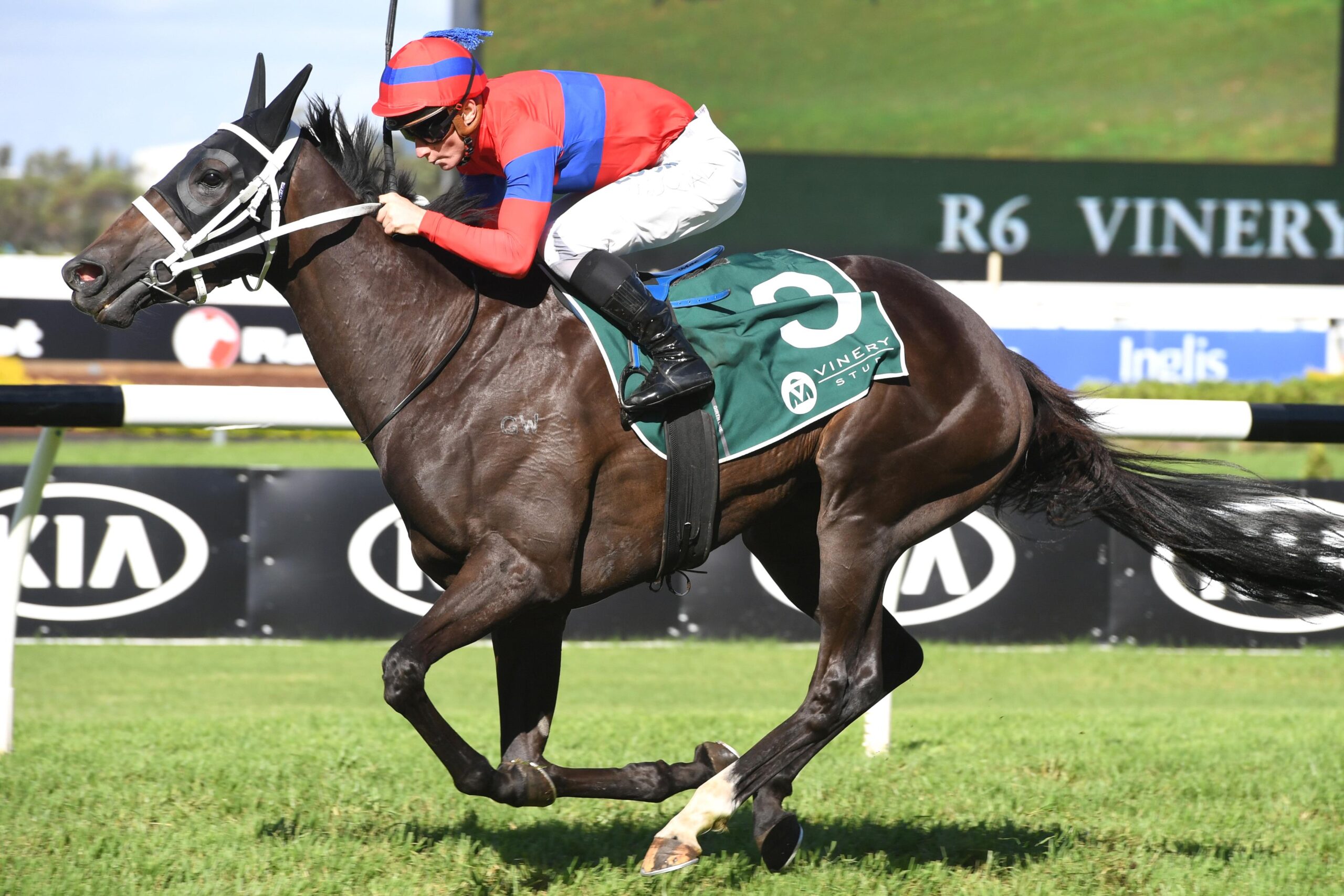 Verry Elleegant very good in Vinery Stud Stakes - Racenet