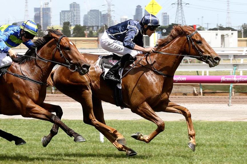 Fields and form online for All-Star Mile day at Flemington - Racenet