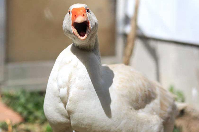 Friday wrap - All you need to know ahead of Saturday - Racenet