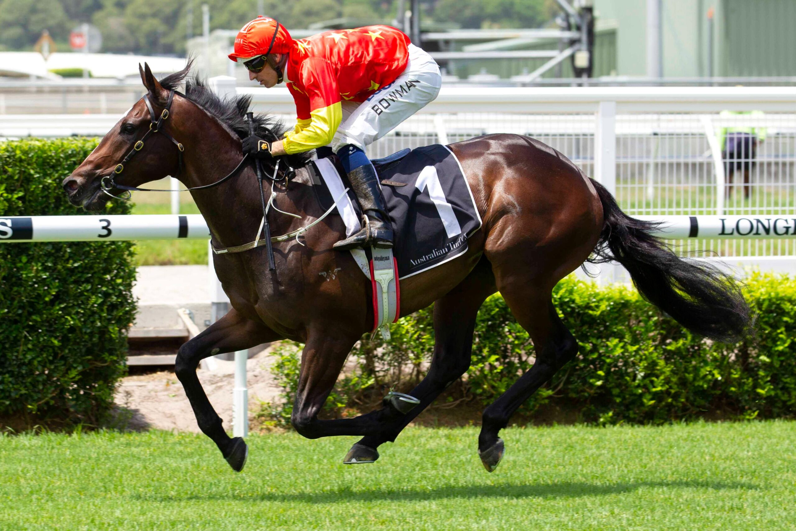 Hightail on Hong Kong's radar - Racenet