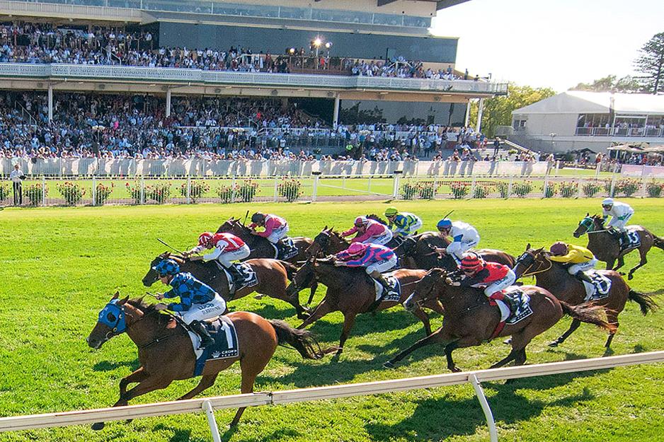 Friday wrap - All you need to know ahead of Perth Cup day - Racenet