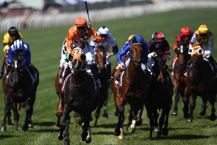 Tips from the big bookies for Victoria Derby day - Racenet