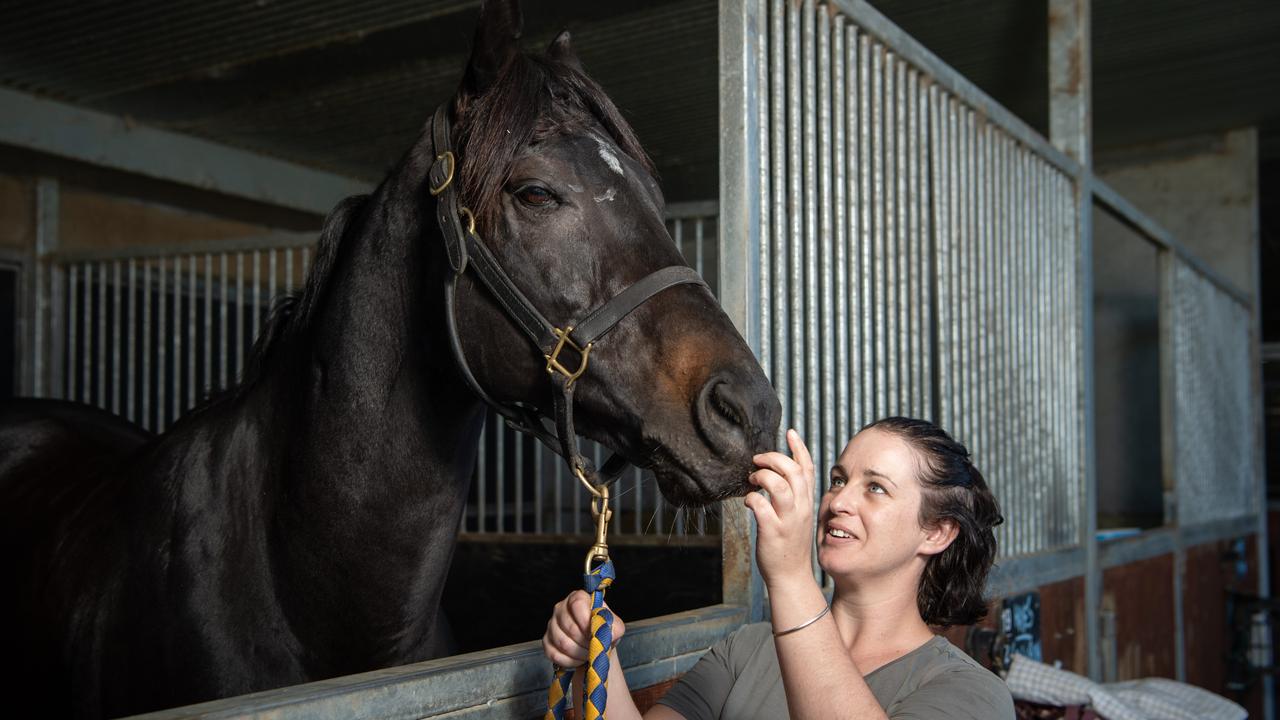 So Si Bon has turned the corner as a gelding - Racenet