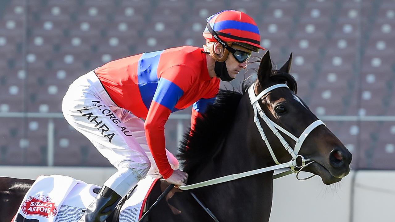 Experts reveal their spring horses to follow - Racenet