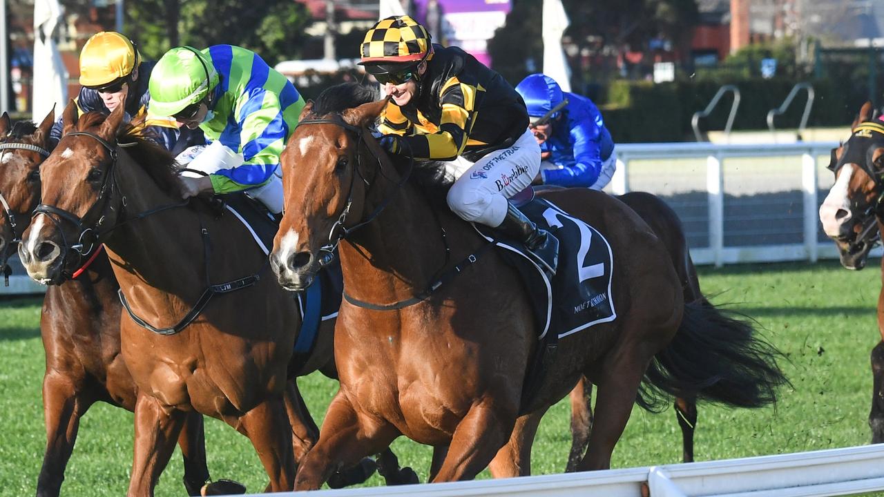 Prebble seizes Memsie chance on Behemoth - Racenet