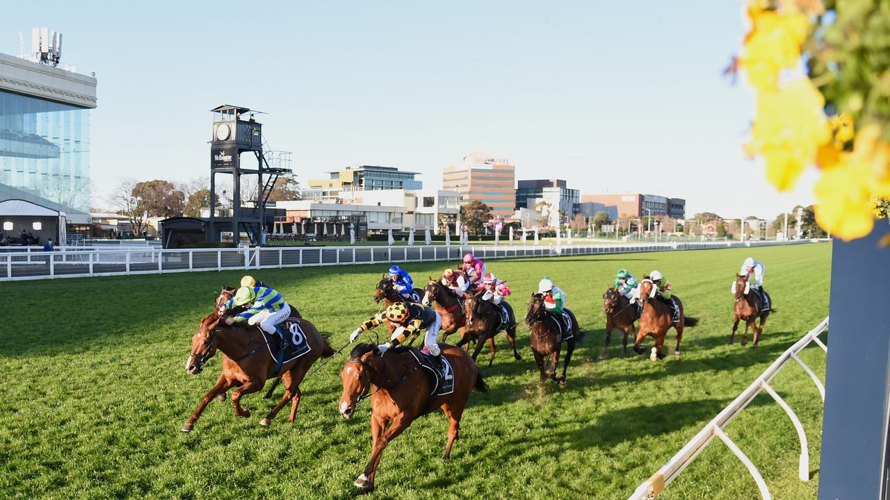 The Oracle rates every Memsie Stakes runner - Racenet