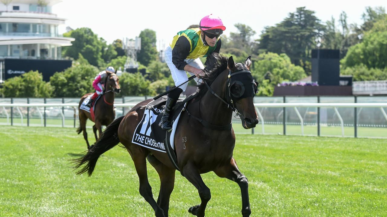 The Oracle's runner-by-runner preview: Feehan Stakes - Racenet