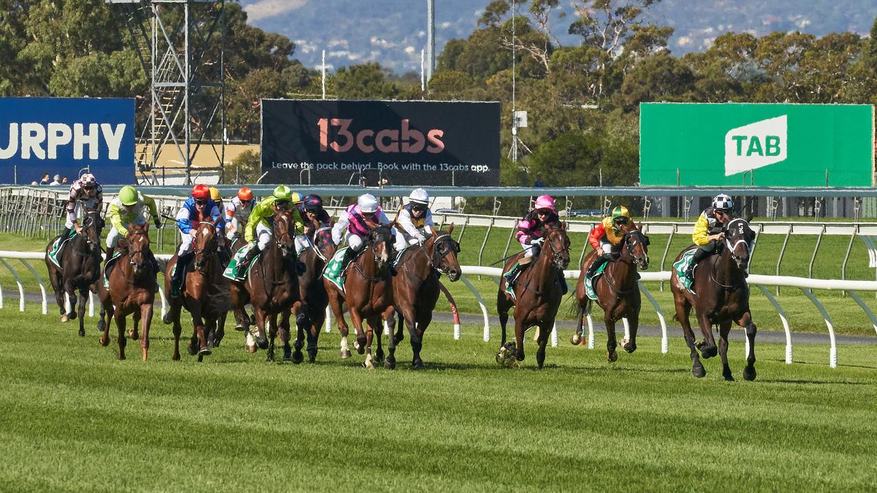 Adelaide's Autumn Carnival shake up - Racenet