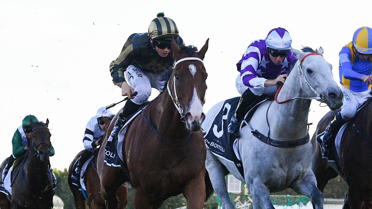 Snitz set for sizzling return in Gold Rush - Racenet