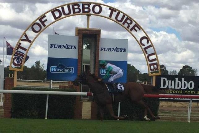 Greg Polson previews Dubbo Sunday - Racenet