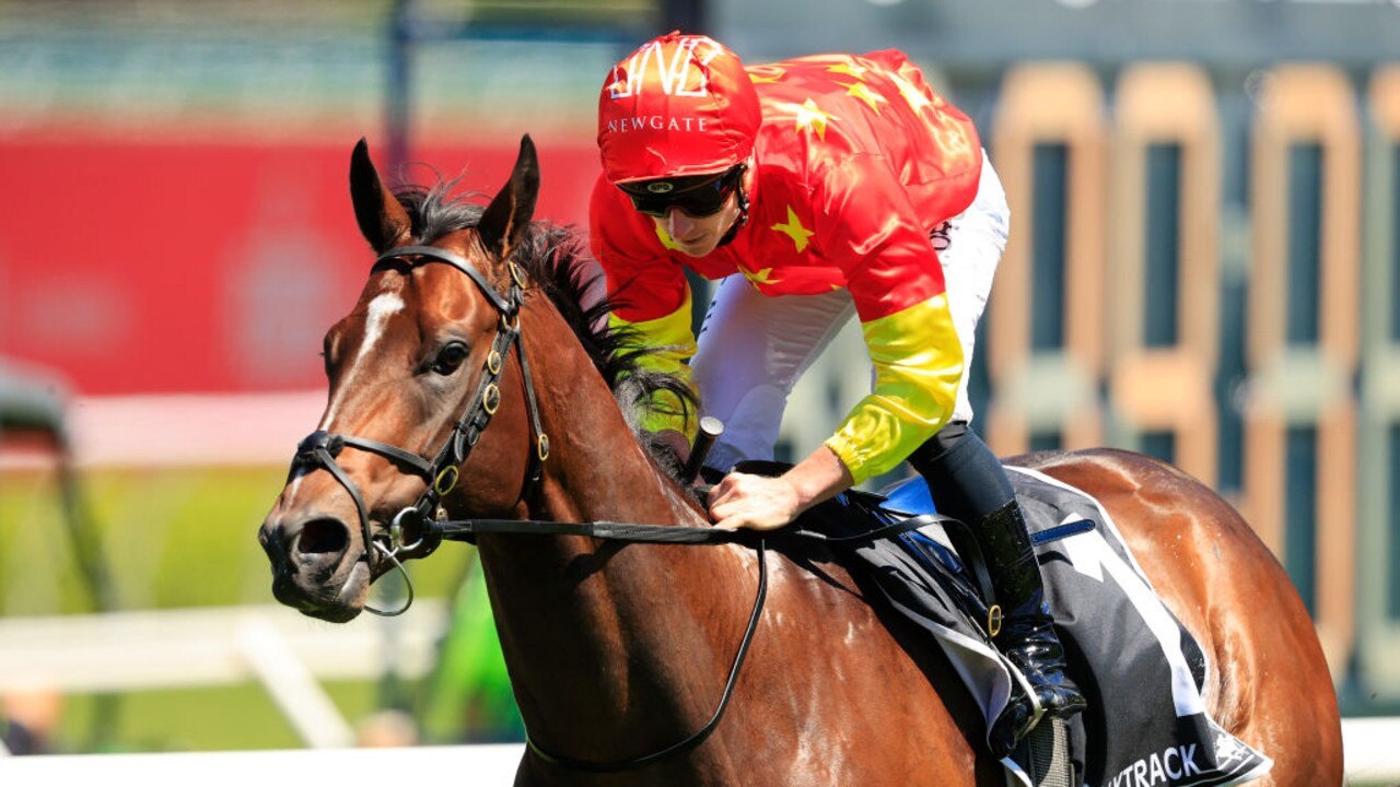 Wild Ruler set to take off - Racenet