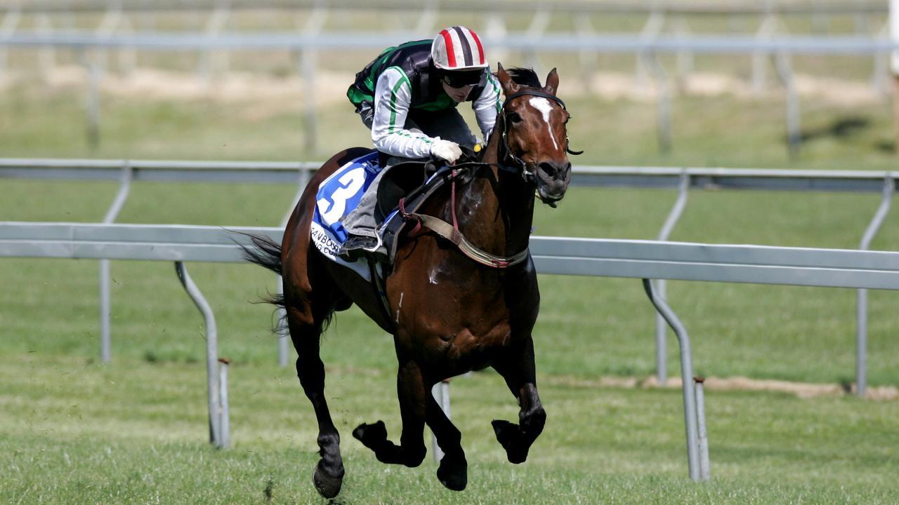 Ultra Tune boss embroiled in horse breeding probe - Racenet