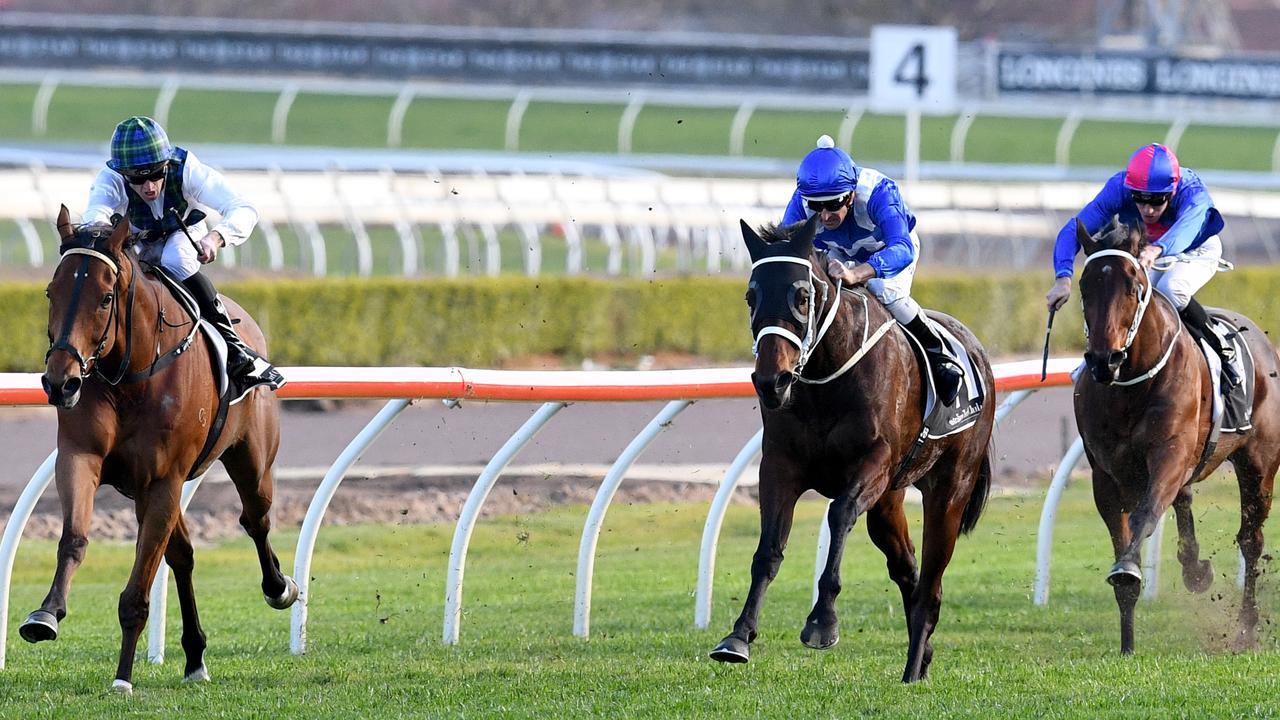 Goulburn preview: More than just a debutant - Racenet