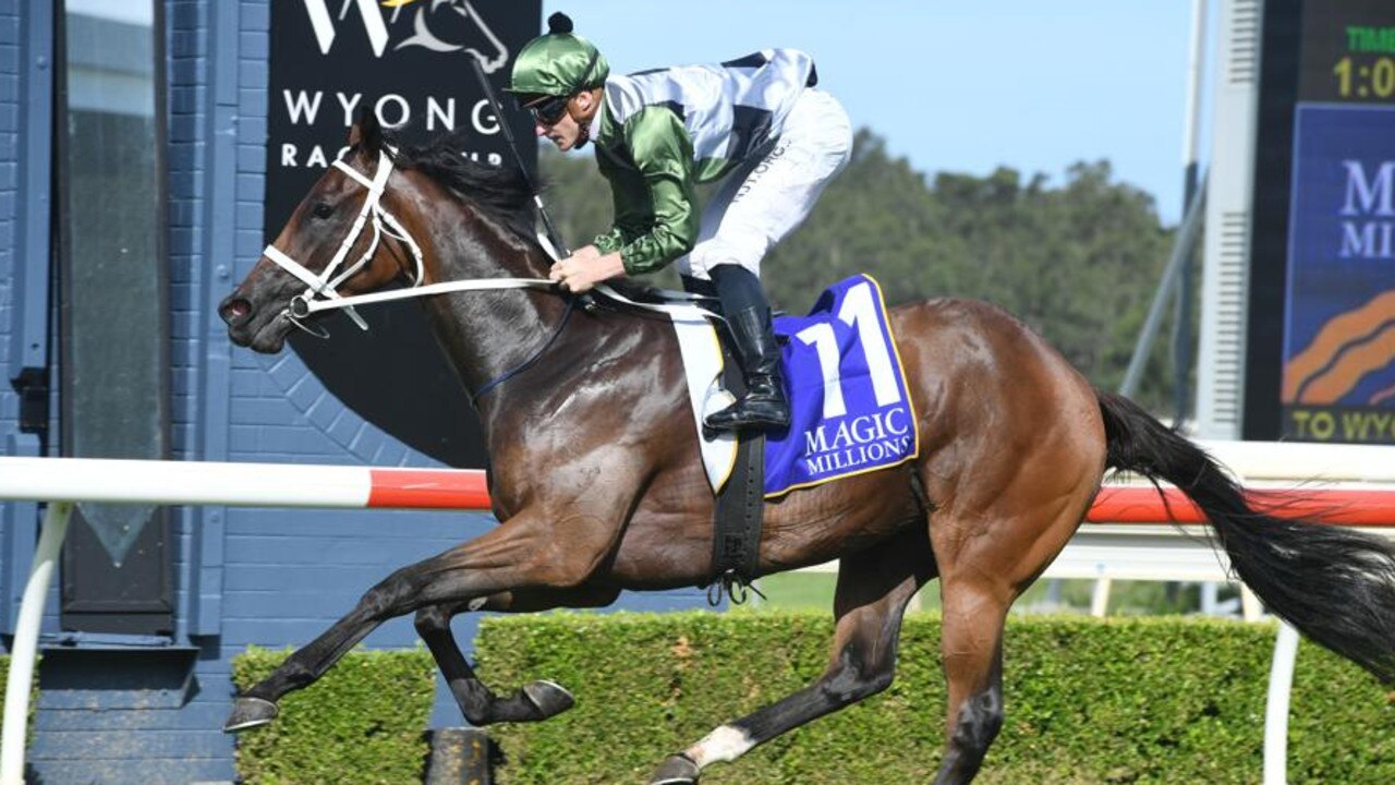 Waller weighing up Magic Millions Hand - Racenet