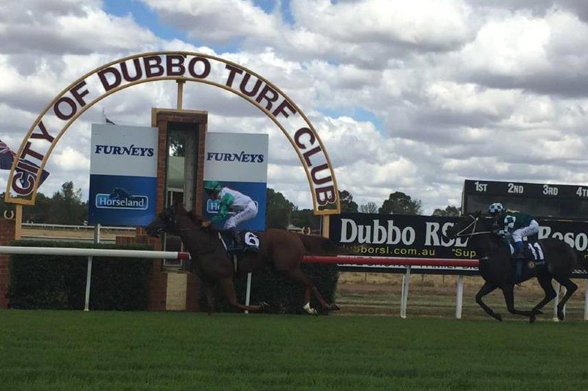 Top bets from Greg Polson for Dubbo Tuesday - Racenet