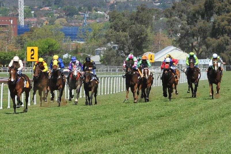 Greg Polson's Gunnedah Tips: $5 best bet in the feature - Racenet