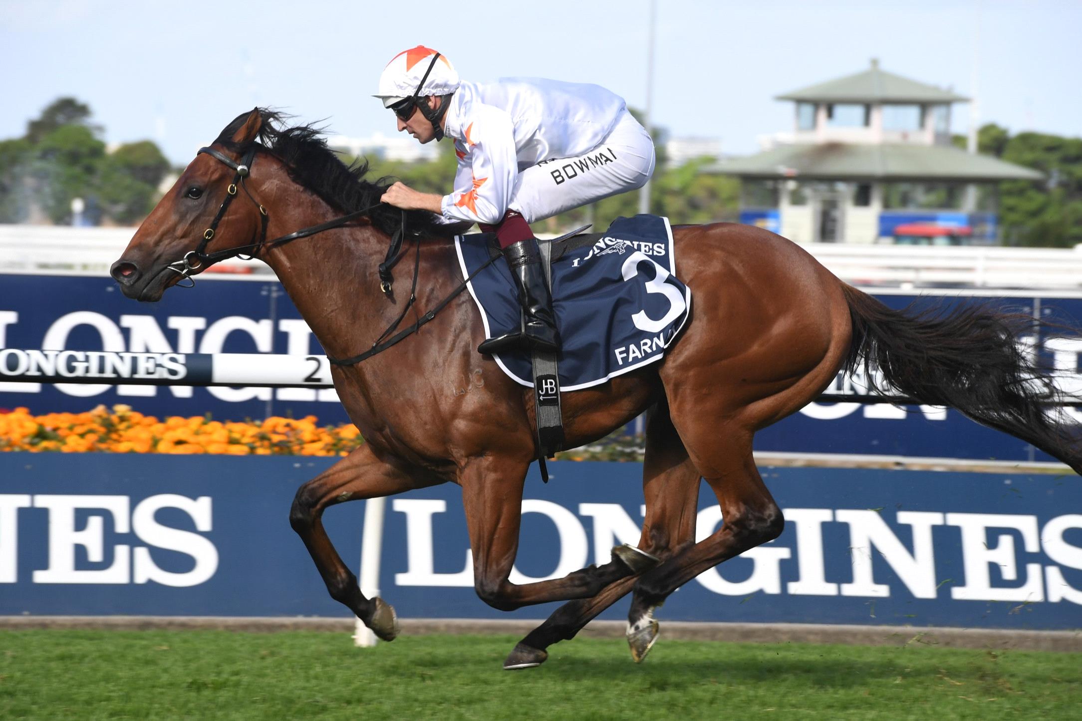 Injury dramas with The Everest aspirant Farnan - Racenet