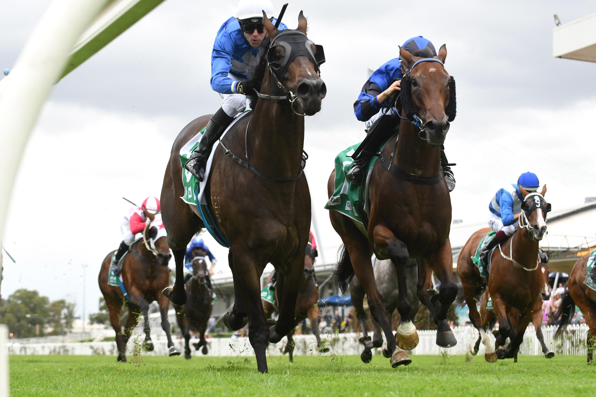 A fresh Two Big Fari eyeing The Kosciuszko - Racenet