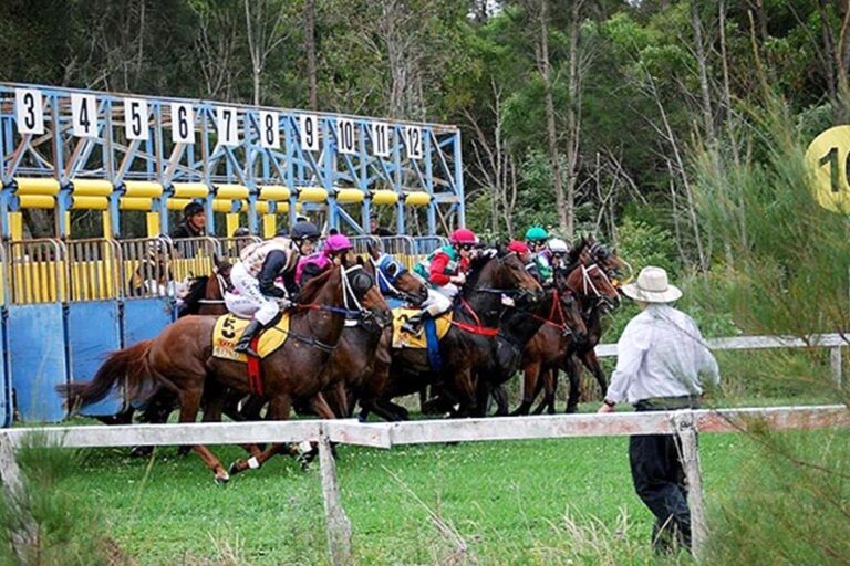 Kempsey Cup 2025 Tips, Betting & Results - Racenet